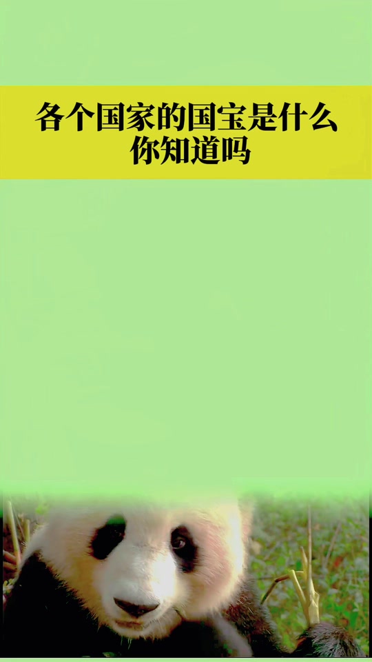 兔子咬断11个月大婴儿手指 山东一婴儿被兔子咬断手指，乖巧可爱的兔子，为什么会动嘴咬人？ 抖音